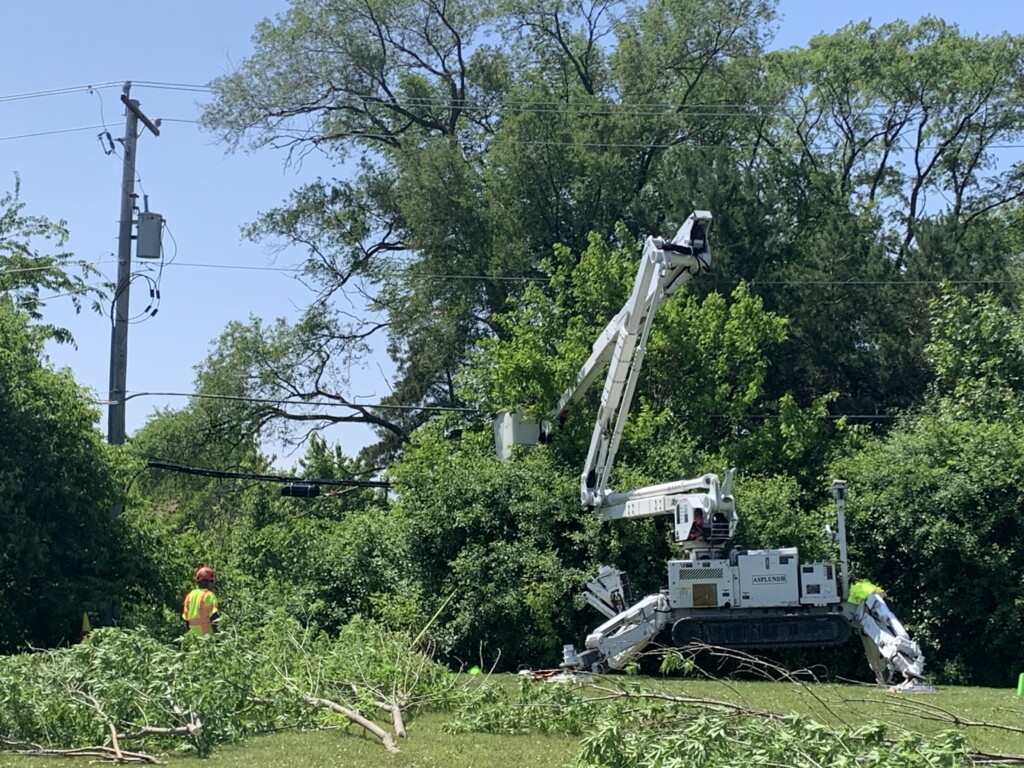We Energies undertaking massive removal of "danger trees" - WTMJ