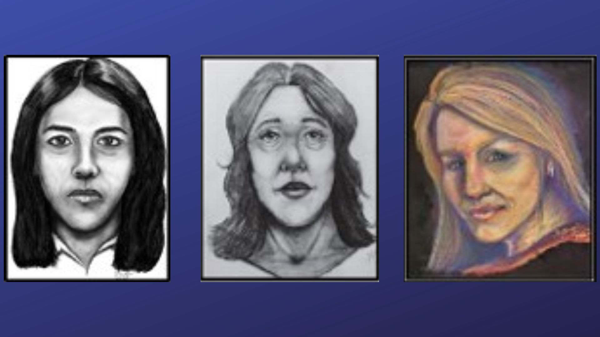 Public's help requested in Florence County human remains case - WTMJ